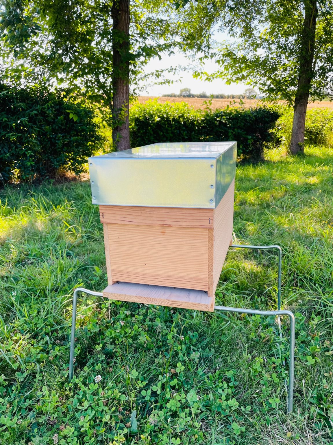 Ruchette Langstroth 6C - Domapi