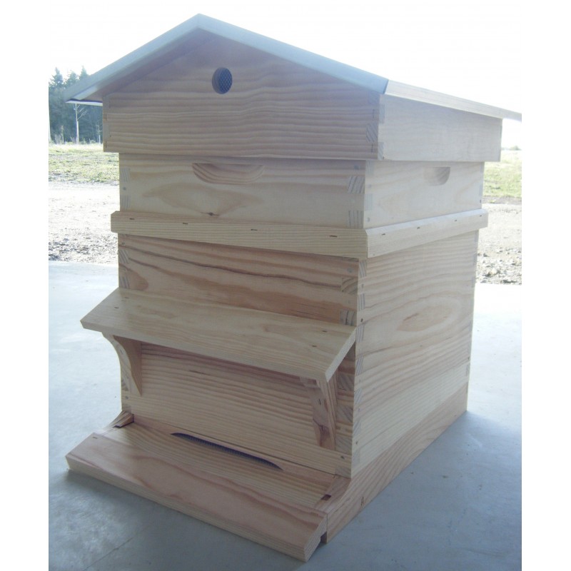 Ruche Dadant 10c sédentaire - Domapi