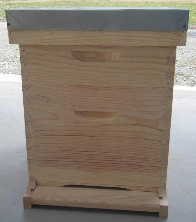 Ruche Dadant 10c pastorale - Domapi