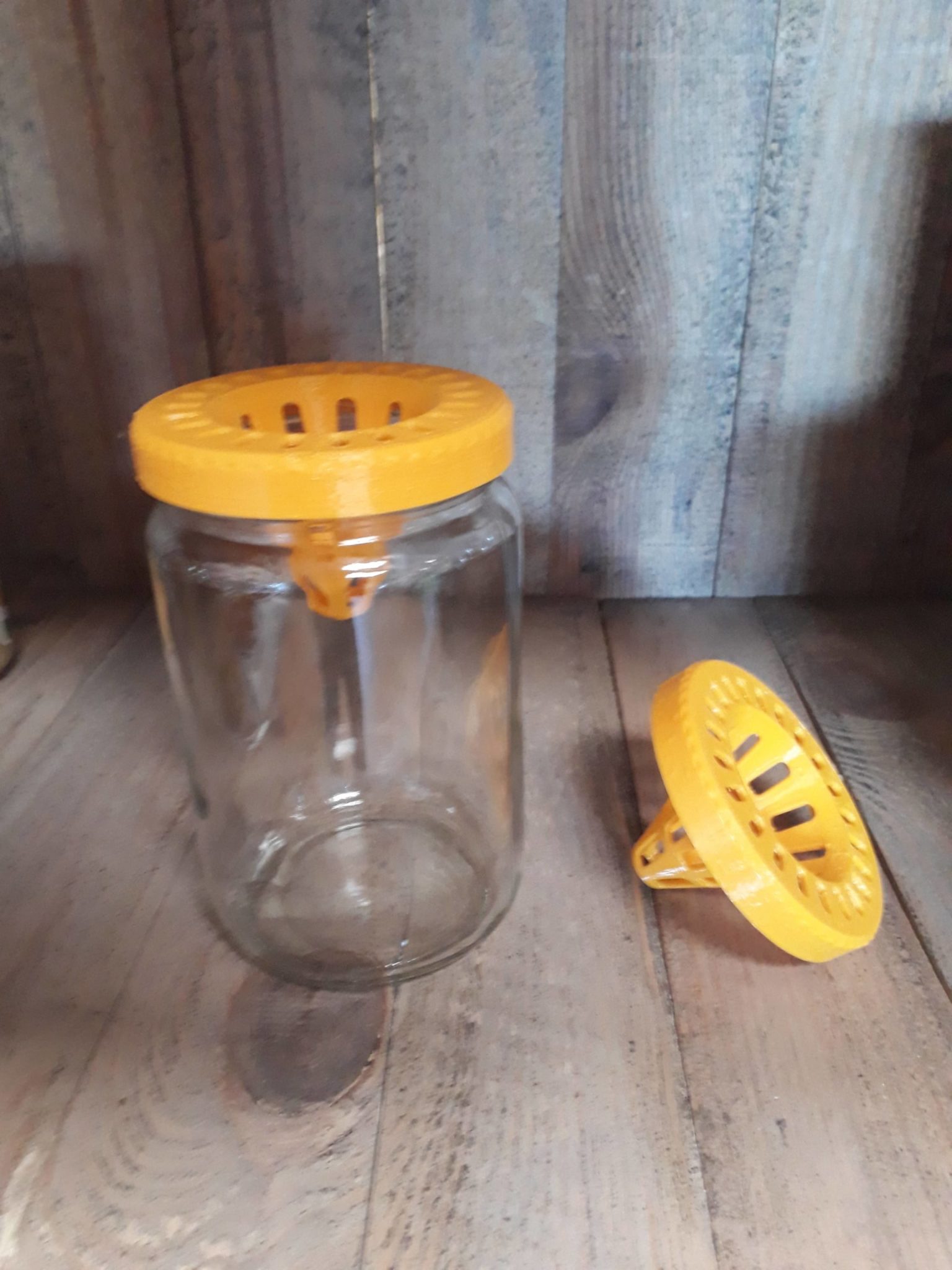 Piège à frelons asiatique "bocal" conique sélectif - Domapi